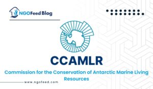 CCAMLR Full Form: Overview, History, Members, Structure and more