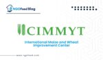 CIMMYT Full Form: History, Objectives, Strategies etc.