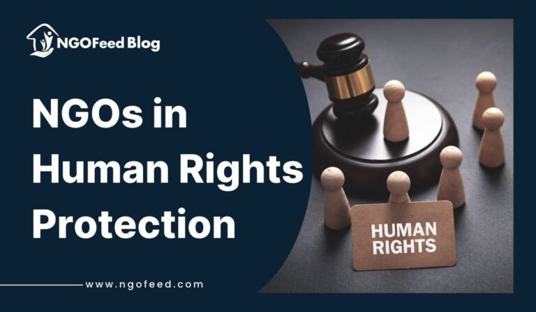 NGOs in Human Rights Protection: Importance, Role, etc.