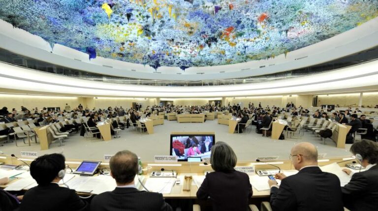 Role of UNHRC in Safeguarding Human Rights in a Divided World
