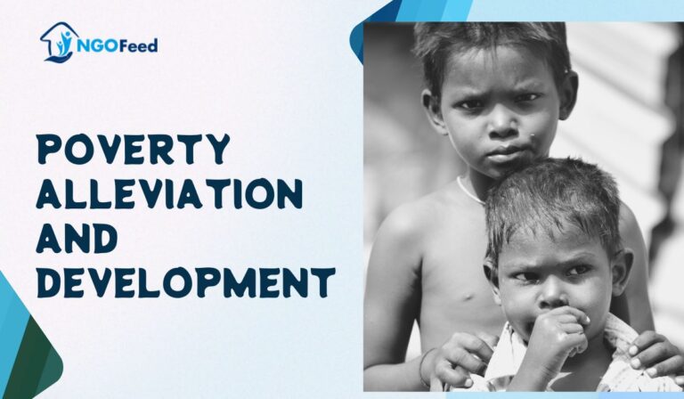 Poverty Alleviation And Development: Causes, Challenge, NGO Role
